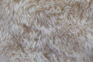 How to Stop a Wool Rug from Shedding