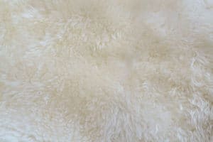 How to Stop a Wool Rug from Shedding