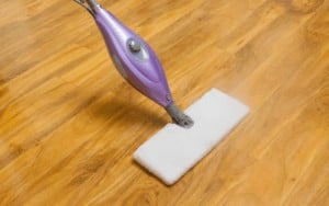 Shark Steam Mop Instructions - 4 Steps you Must Know