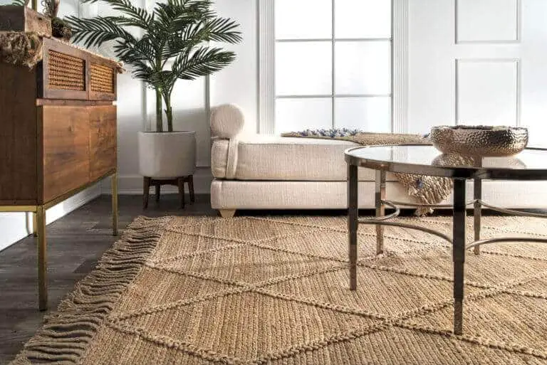 How to Clean a Jute Rug (6 Simple Steps)