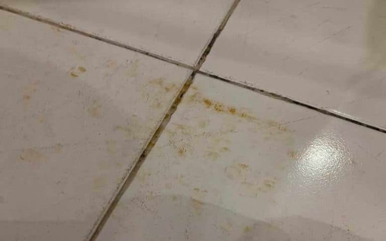 How to Remove Rust Stains From Tiles (6 Tips you Never Knew)