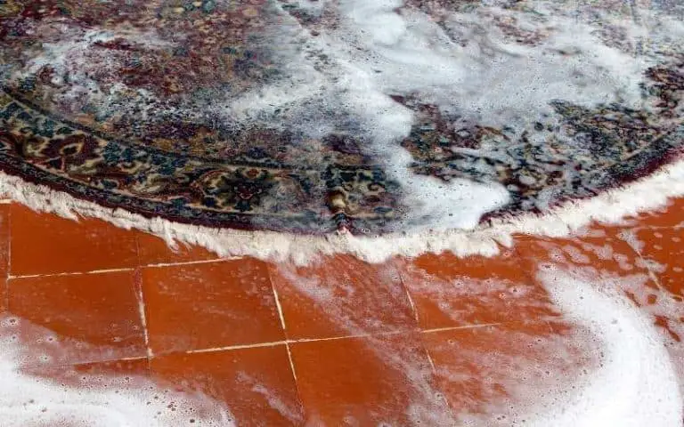 How to Shampoo Area Rug on Hardwood Floor in 8 Easy Steps