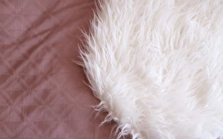 How to Clean a White Rug (4 Quick Methods)